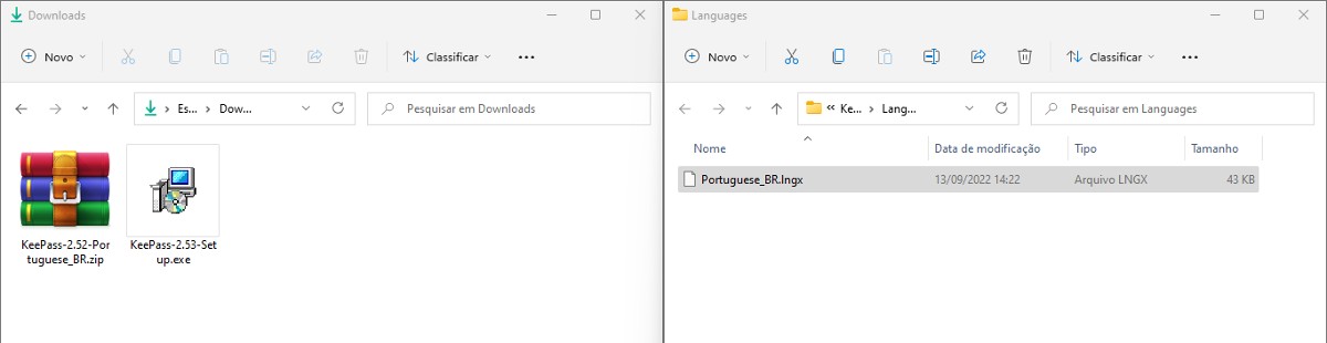 KeePass: Como baixar, instalar e usar em português em 2024